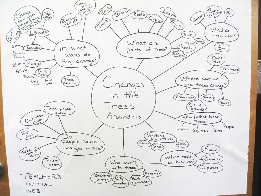 anticipatory web; tree study; mural;pattern blocks | Investigating ...